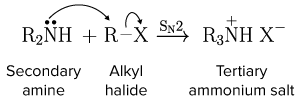 CK12-Foundation