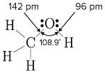 CK12-Foundation
