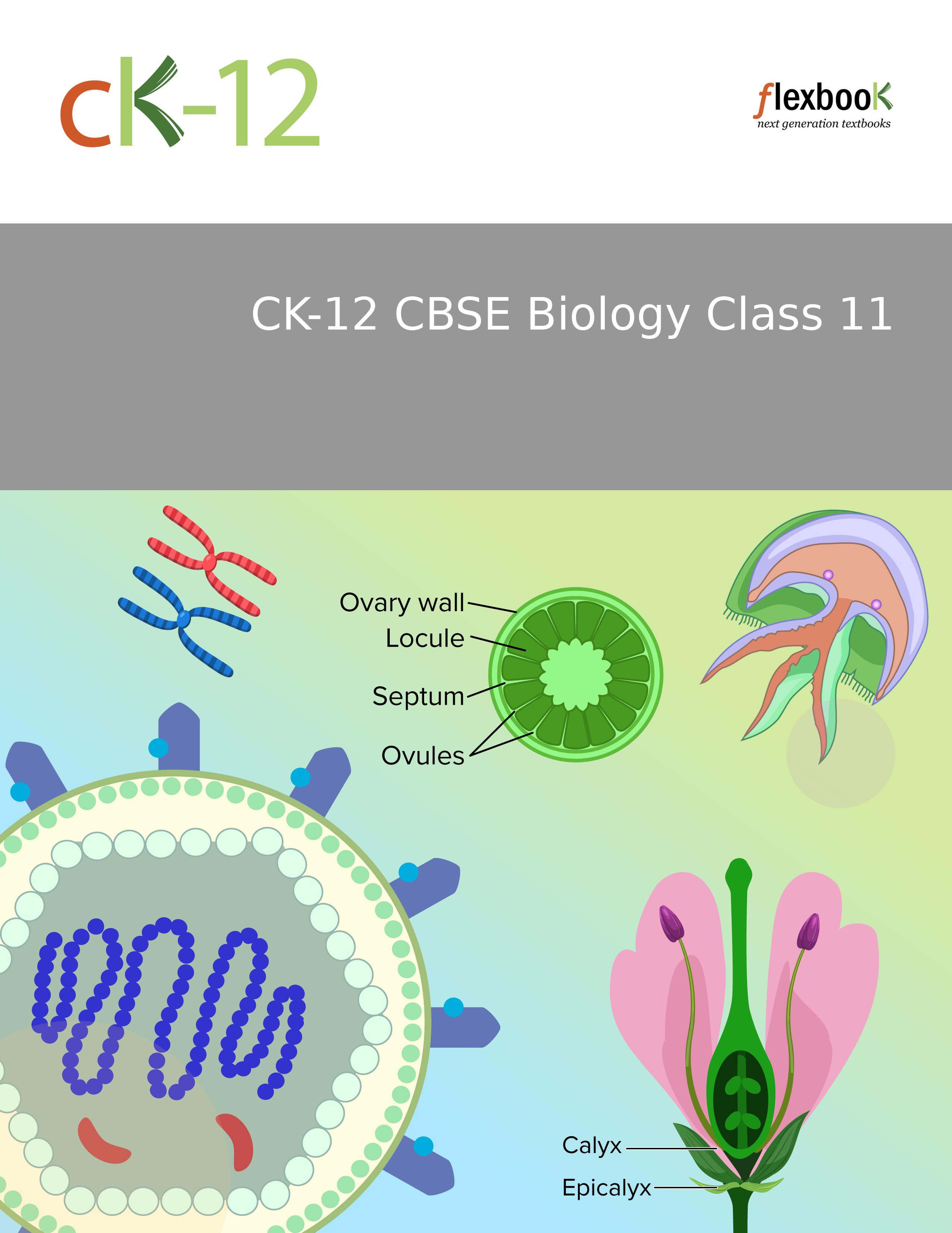 CK12-Foundation