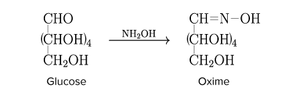 CK12-Foundation