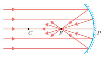 CK12-Foundation