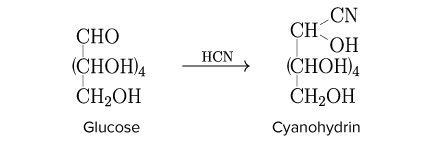 CK12-Foundation