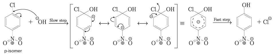 CK12-Foundation
