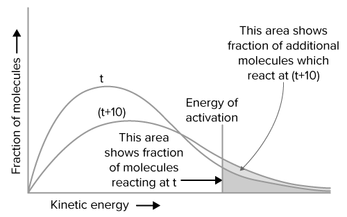 CK12-Foundation