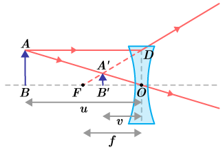 CK12-Foundation