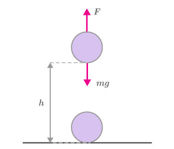 CK12-Foundation