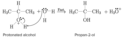 CK12-Foundation