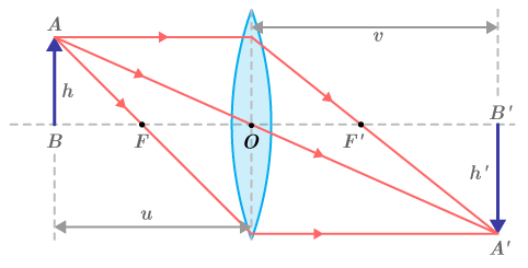 CK12-Foundation